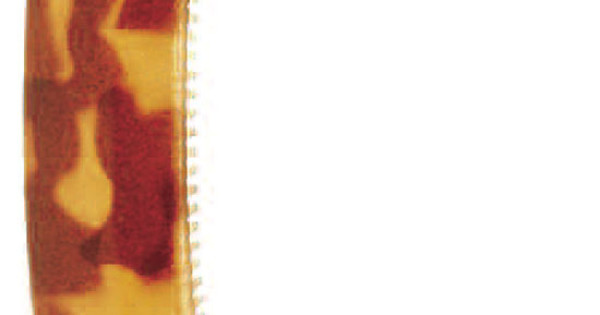 51193 - HEADBAND SAVAN